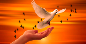 Cours de Philosophie sur la liberté